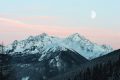 Colorado Registered Agent: Colorado's Best Registered Agent Service