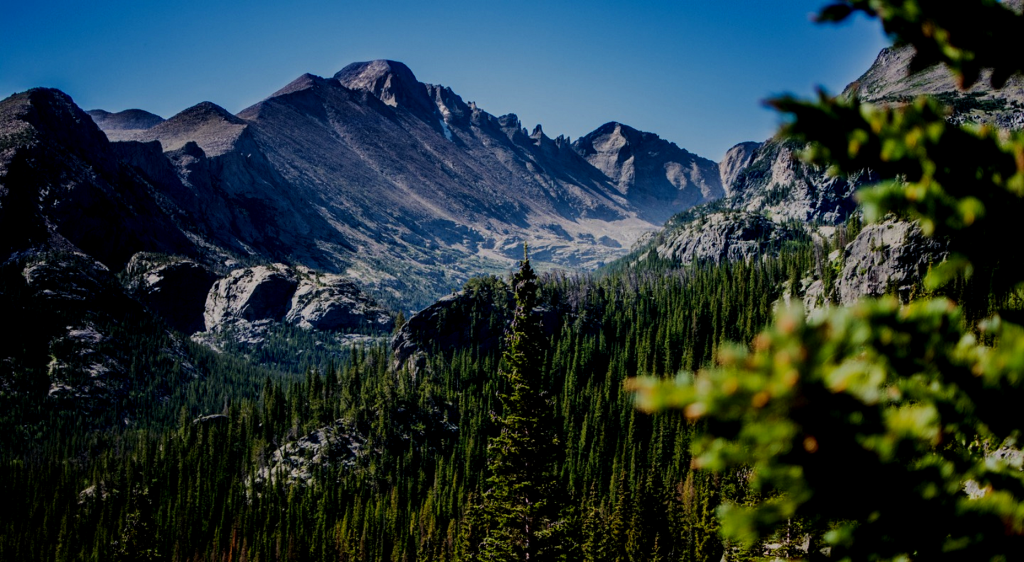 Colorado Corporate By-Laws | Free Guide & Template