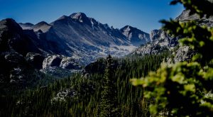 Colorado Periodic Report Filing: How To Stay In Good Standing